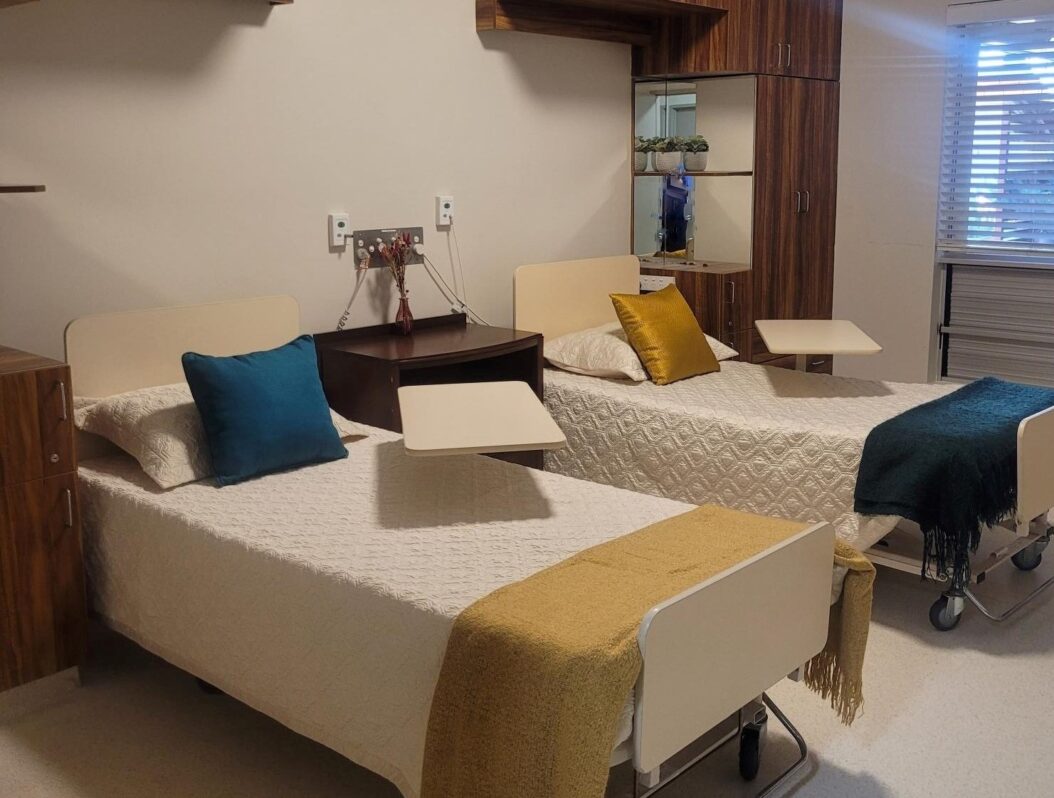 Companion Suite - Sylvan Woods - Vacenti